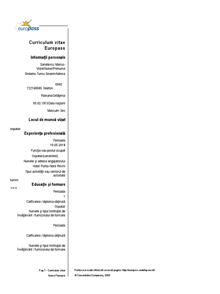 CV Model Europass | PDF