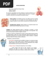 FARINGE y LARINGE - Anatomía II, Veterinaria | PDF | Laringe ...