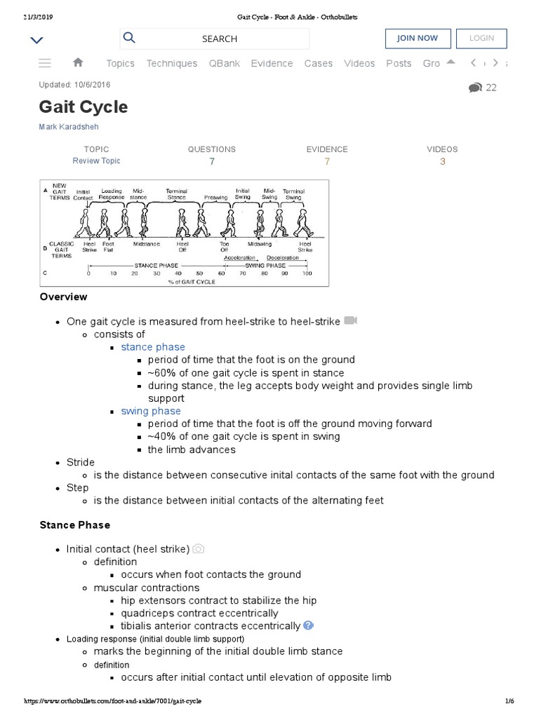 Gait Cycle - Foot & Ankle - Orthobullets | PDF | Foot | Anatomical ...