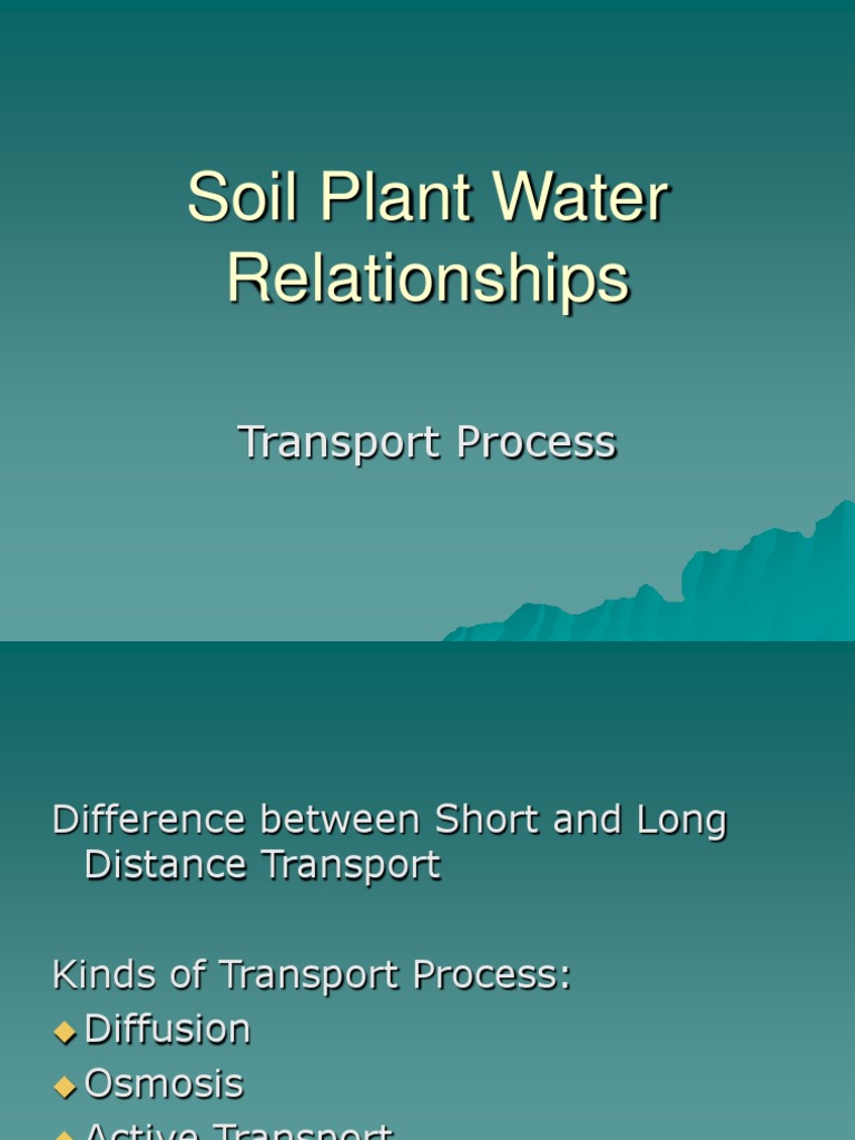 Soil-Plant Water Dynamics Explained | PDF | Stoma | Water