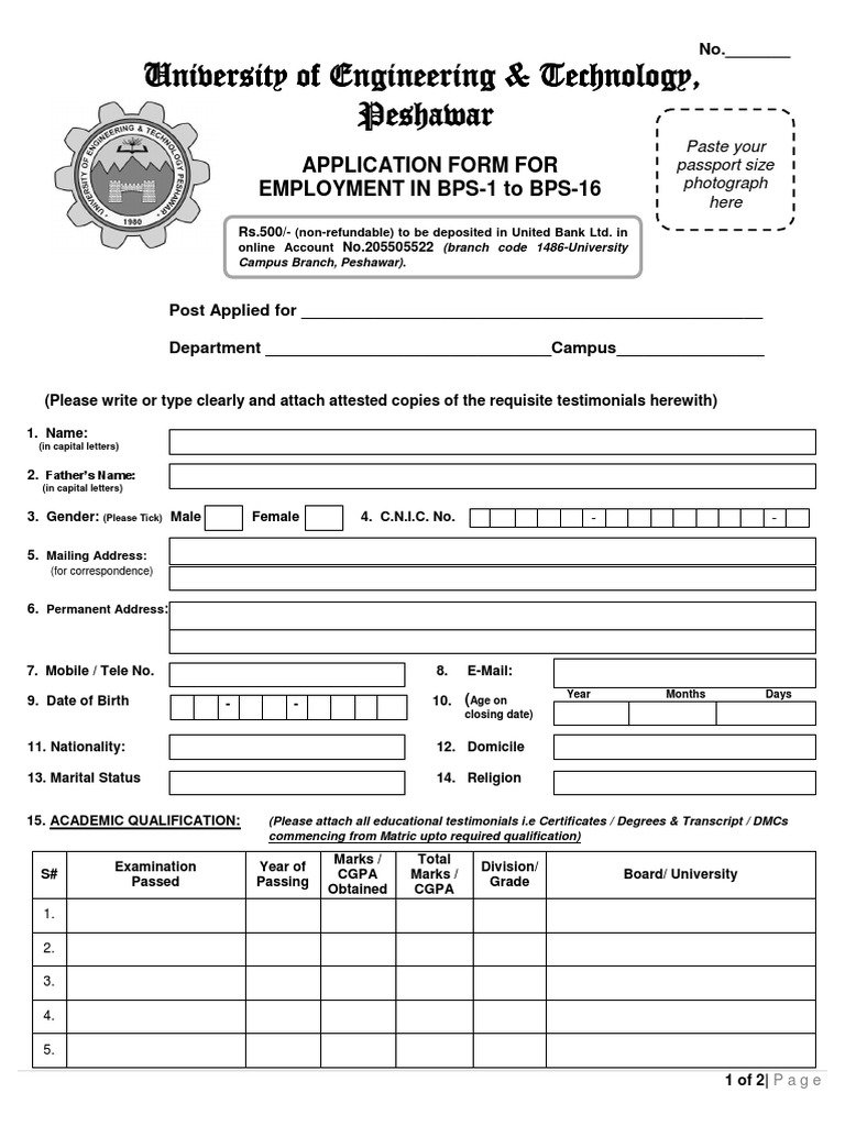Job Application Form Bps 16 & Below | PDF | Business
