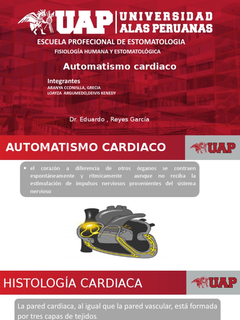 Fisiologia Automatismo Cardiaco Diapo | PDF | Ciencia y matemáticas