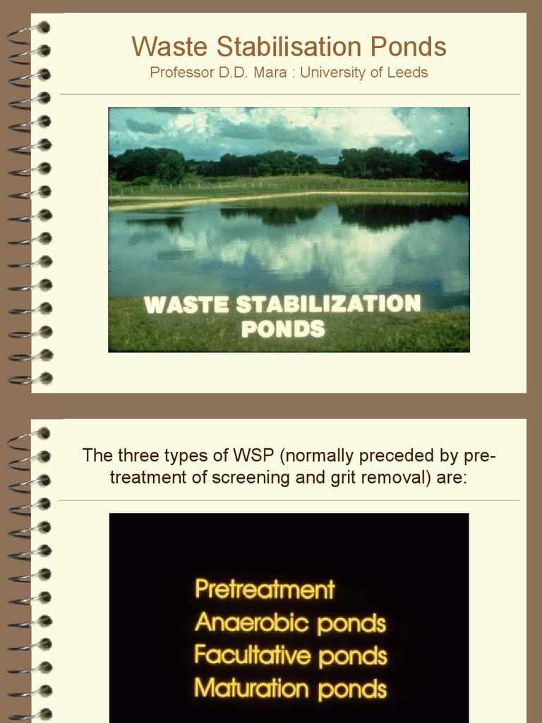 WSP Slides | PDF | Biodegradable Waste Management | Systems Ecology