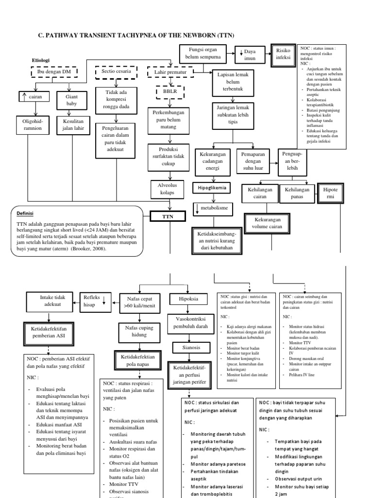 Pathway TTNB | PDF