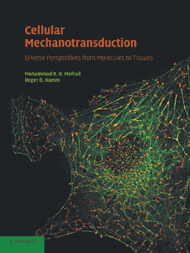 Mechanotransduction PDF | PDF | Signal Transduction | Proteins