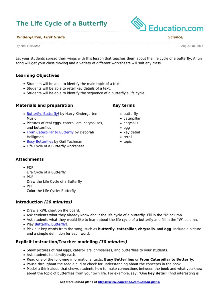 Butterfly Butterfly Lesson Plan | PDF | Butterfly | Epistemology