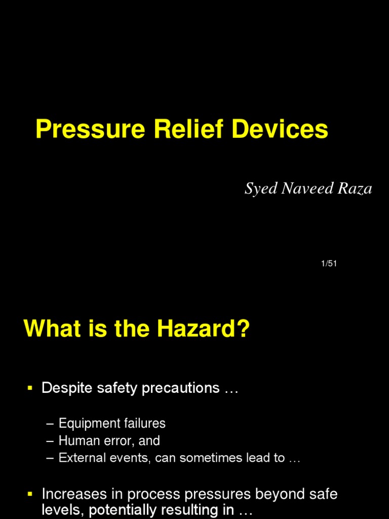Pressure Relief Safety Valves (SNR) | PDF | Valve | Chemical Reactor
