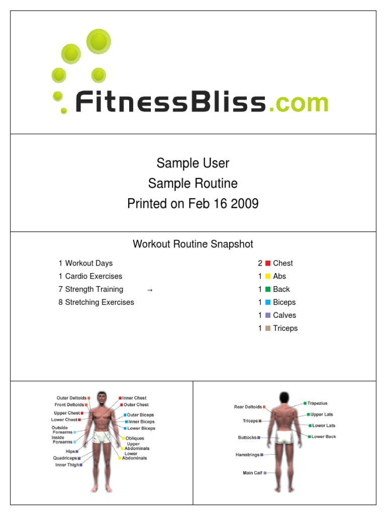 Workout Routine PDF | PDF | Arm | Weight Training
