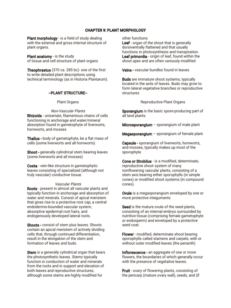 Botany Terms | PDF | Branches Of Botany | Plant Morphology