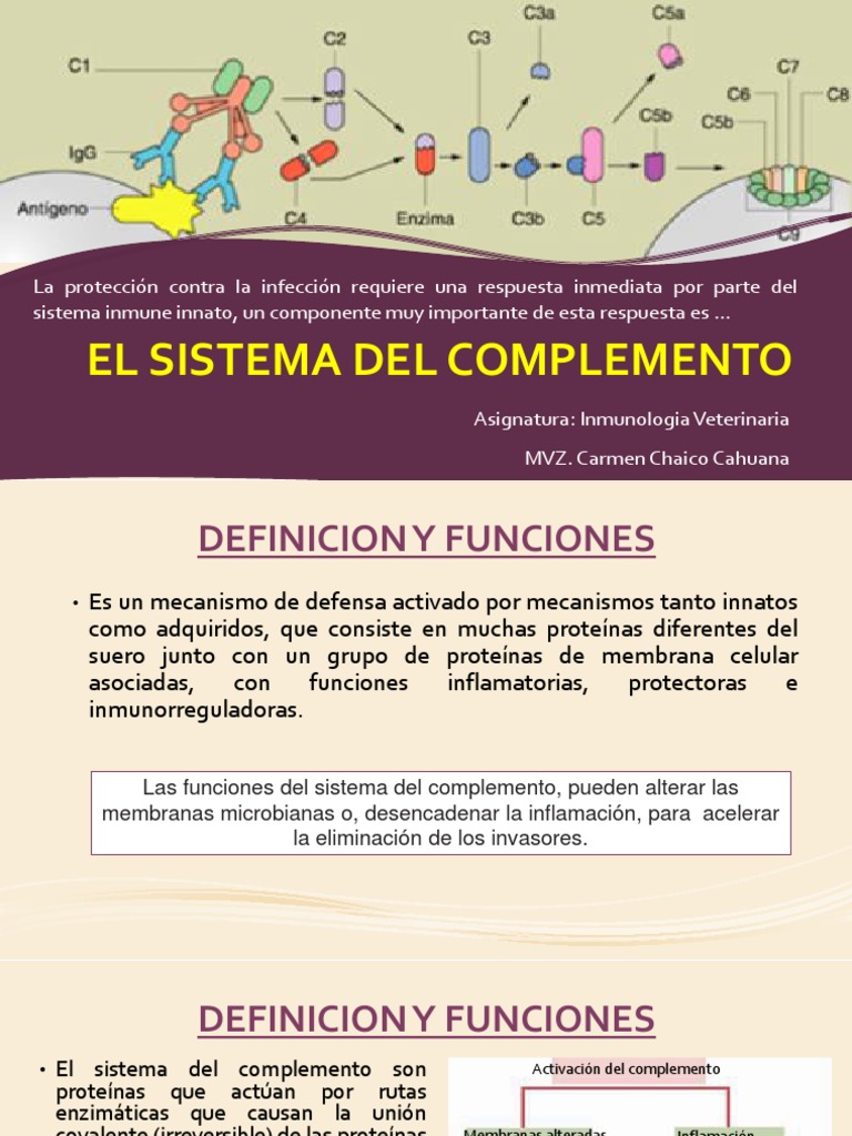 Clase 002. EL SISTEMA DEL COMPLEMENTO.pdf | Sistema del complemento | Inflamación