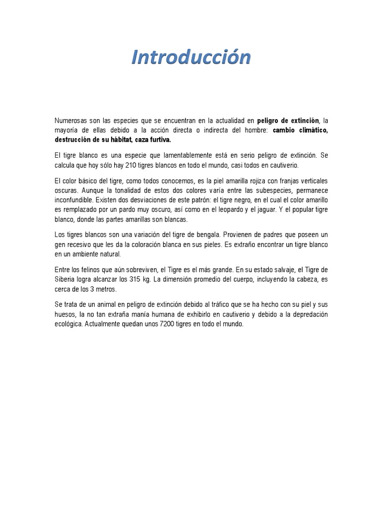 Tigre Blanco Pdf Tigre Organismos