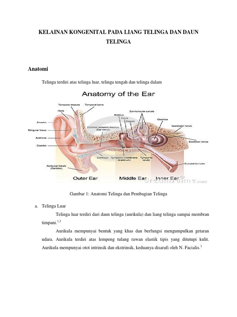 Kelainan Kongenital Telinga: Fistula Preaurikular | PDF