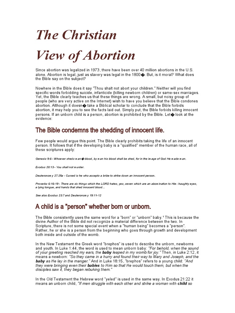 The Christian | PDF | Bible
