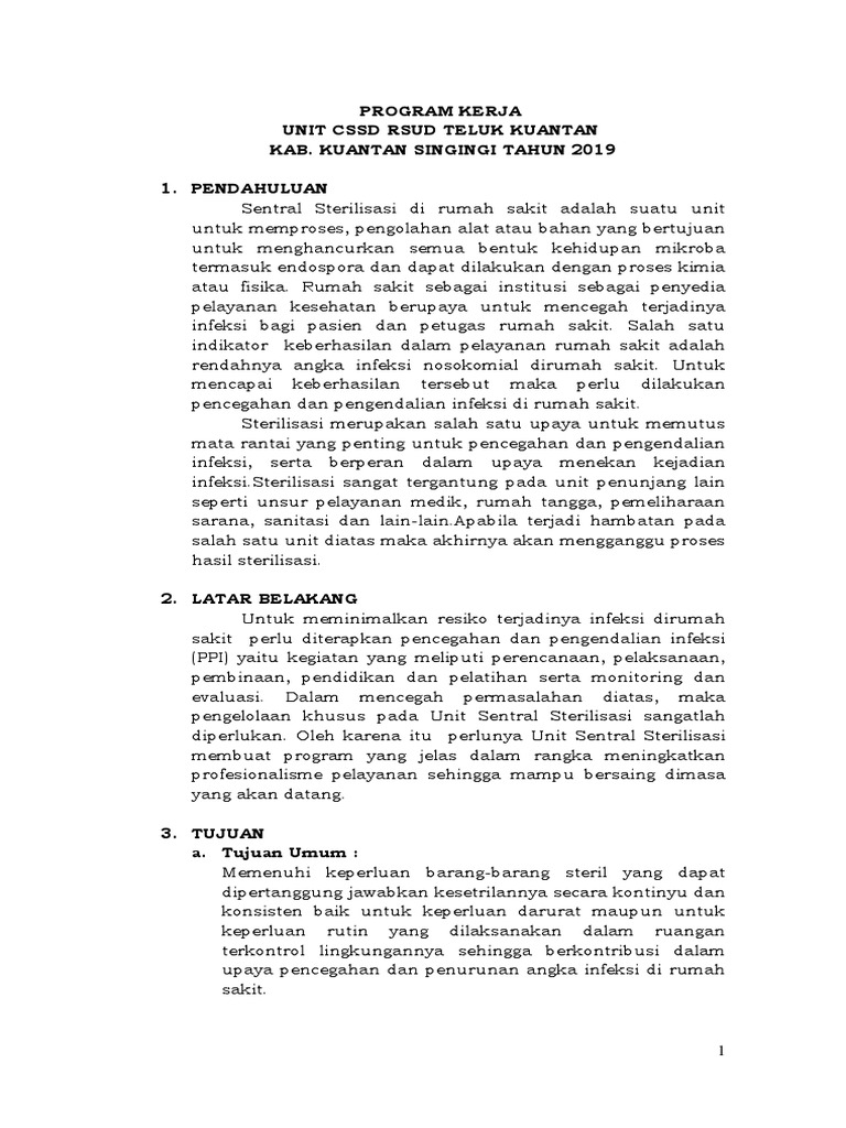 Program Kerja CSSD 2019 | PDF