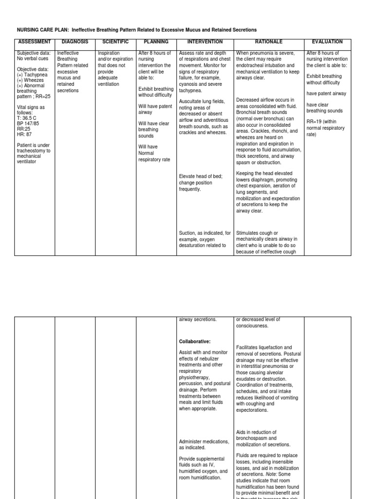 Nursing Care Plan Impaired Breathing Pattern Pdf Respiratory Tract