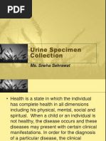 AUB - Intro To Urinalysis | PDF | Urine | Urea