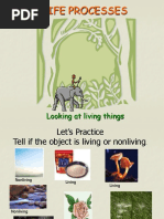 The Seven Life Processes | PDF