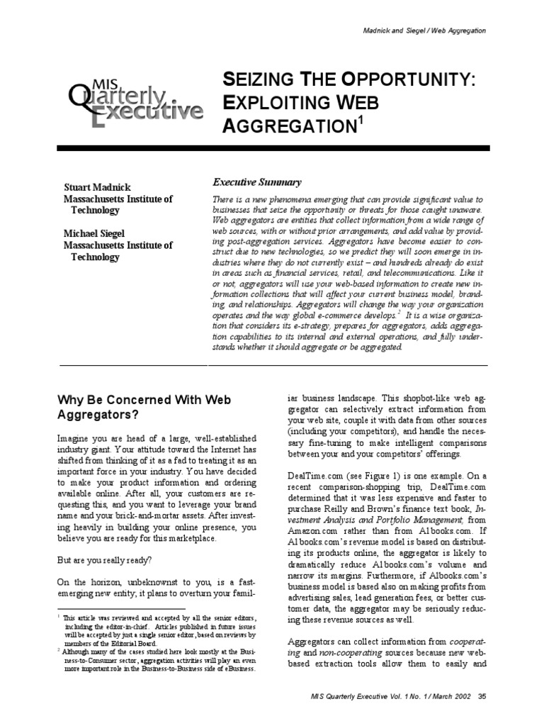 Seizing The Opportunity | PDF | Internet | World Wide Web