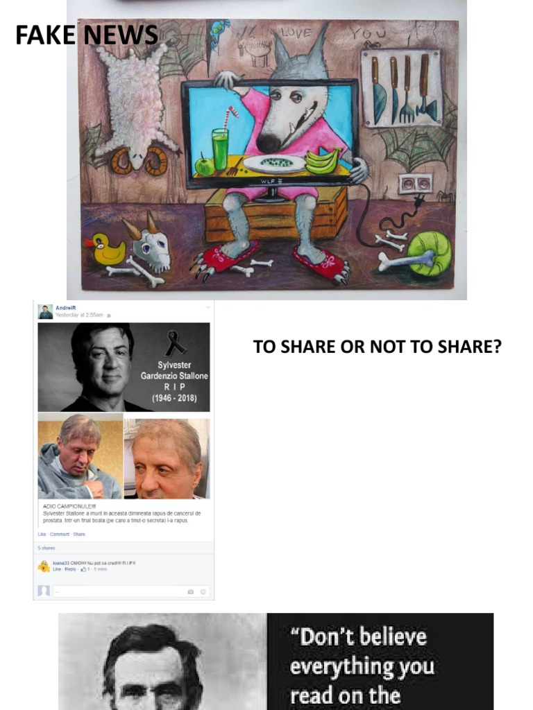 Combatting Fake News in Romania | PDF