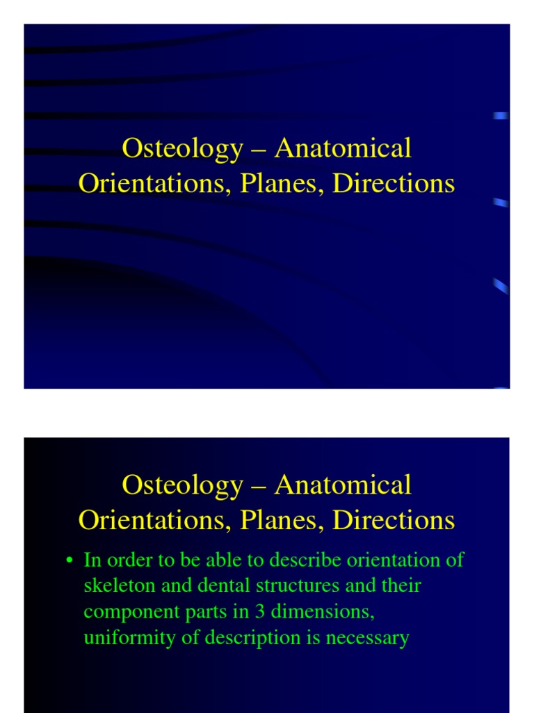 Osteology - Anatomical Orientations, Planes, Directions | PDF ...