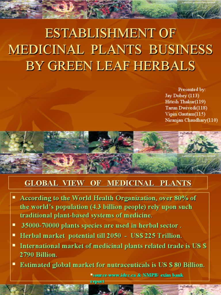 Development of Medicinal Plants Sector in Chhattisgarh | PDF ...