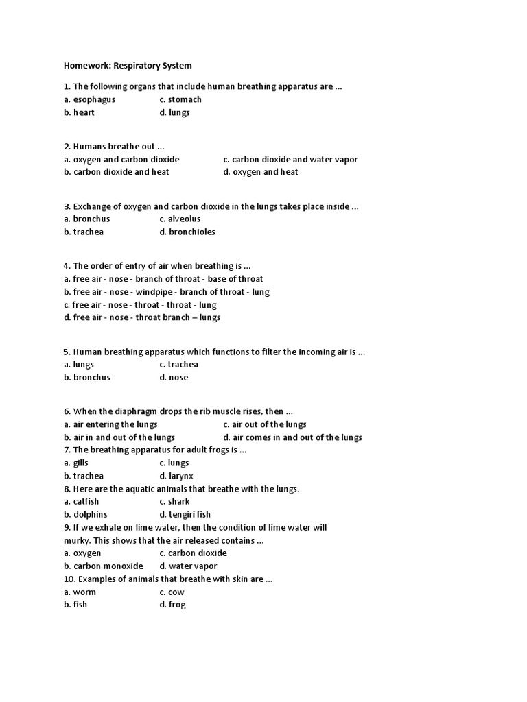Homework Respiratory System | PDF