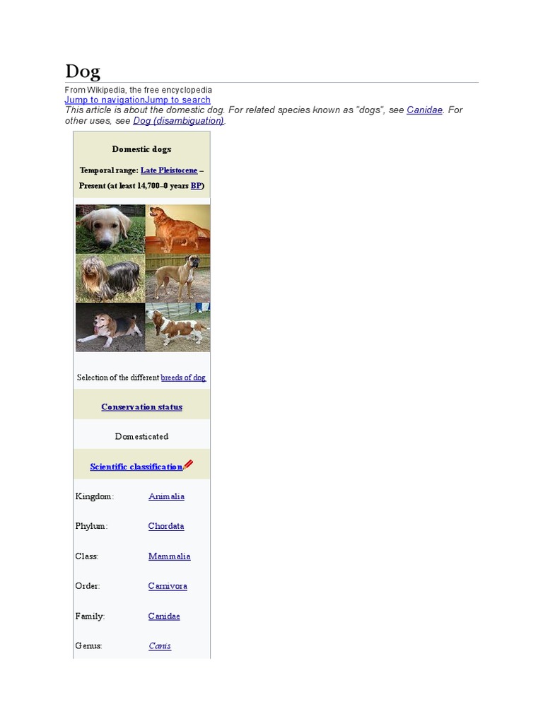 Understanding Domestic Dogs | PDF | Dogs | Canis