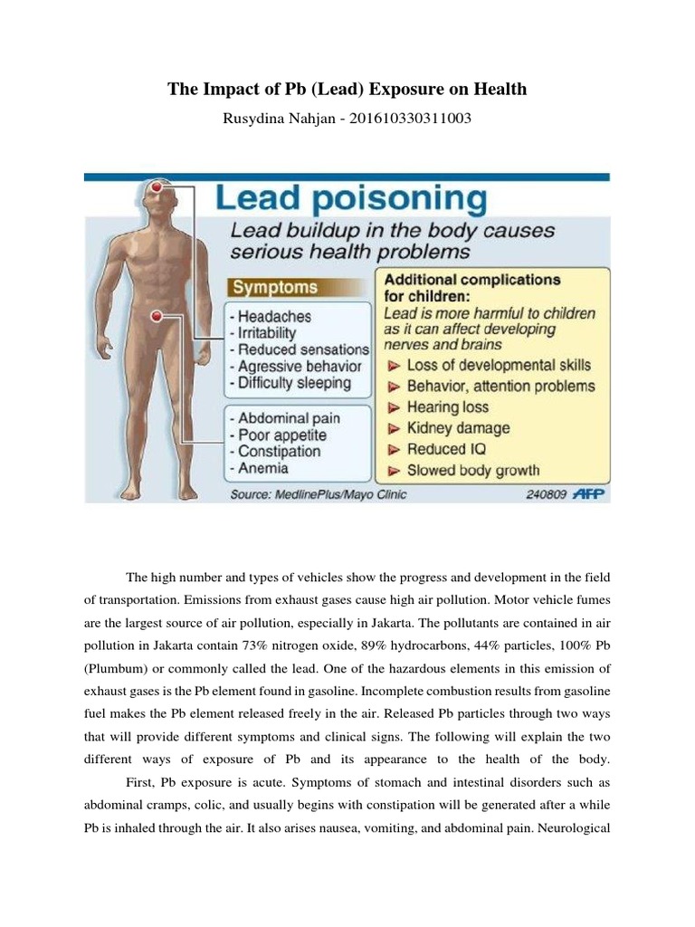 Essay ESP Writing Rusydina | Download Free PDF | Exhaust Gas | Lead