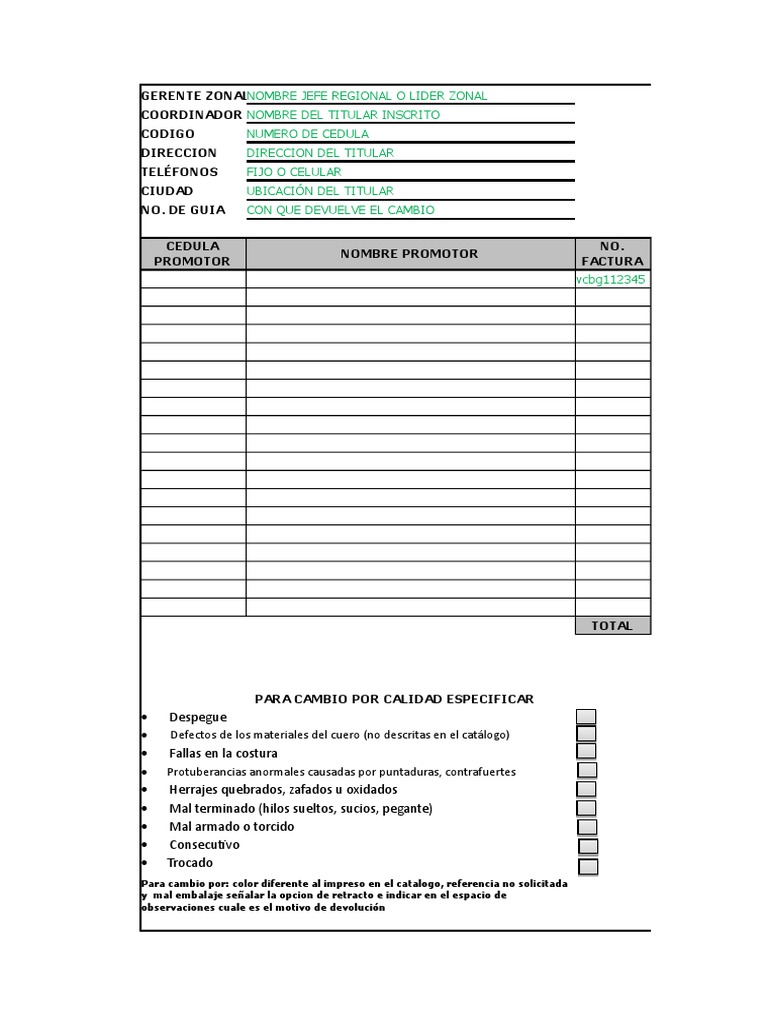 Formato Devoluciones | PDF