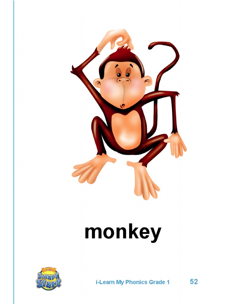 Monkey | PDF