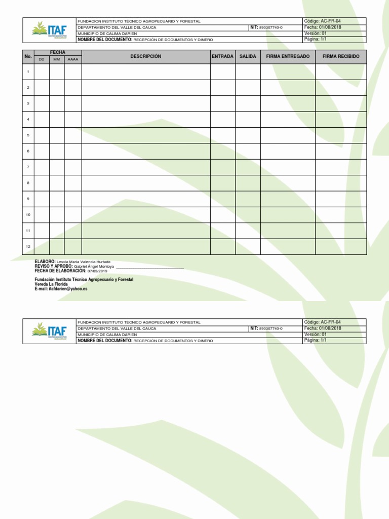 Formato Recepción de Documentos | PDF