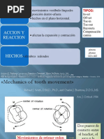 Prescripción de Torque Con Técnica MBT | PDF | Ramas de Odontología