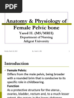 Netter - Atlas of Human Anatomy | PDF | Abdomen | Pelvis