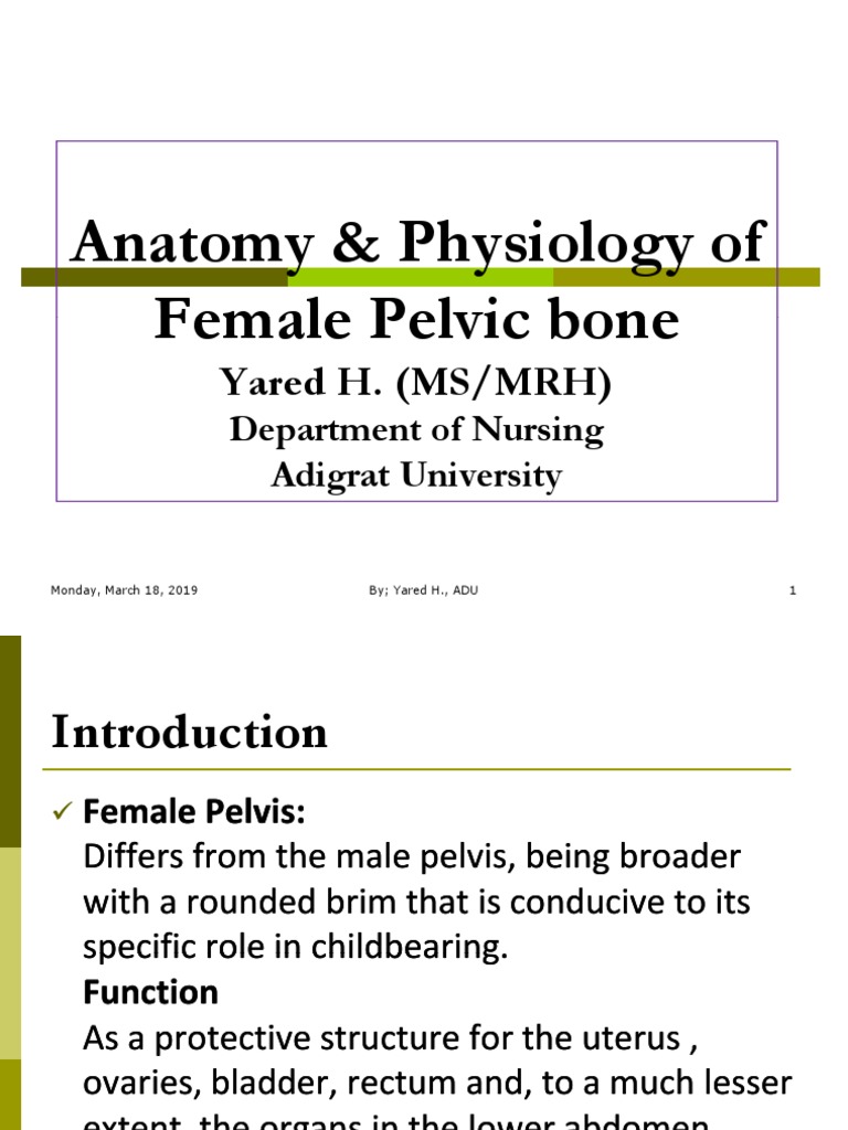 Anat & Phy of Pulvic Bonee | PDF | Pelvis | Musculoskeletal System