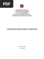 Neutro Corrido Cfe | PDF | Transformador | Energia electrica