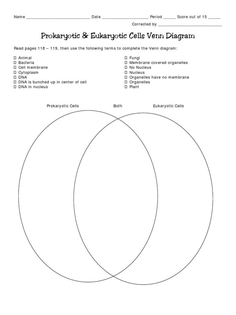 Prokaryotic & Eukaryotic Cells Venn Diagram | PDF