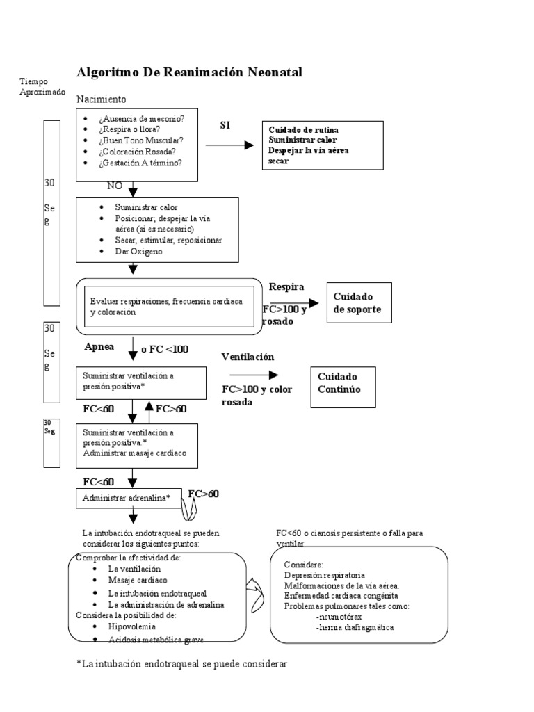 Algoritmo De Reanimación Neonatal Descargar Gratis Pdf Apnea