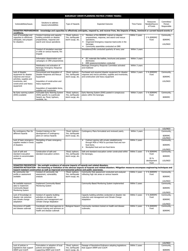 Barangay DRRM Planning Matrix | PDF | Flood | Hazards