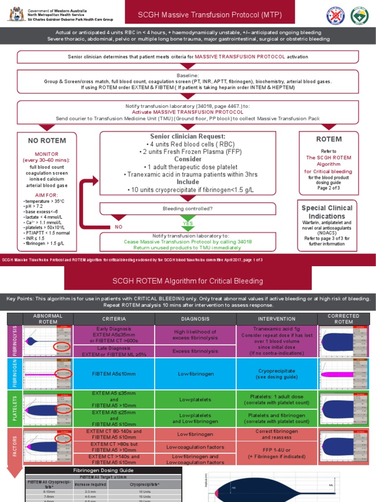 Transfusion | PDF | Bleeding | Platelet