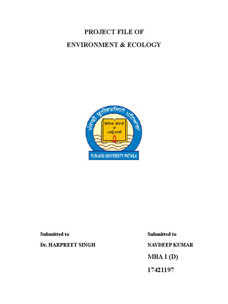 Project File | PDF
