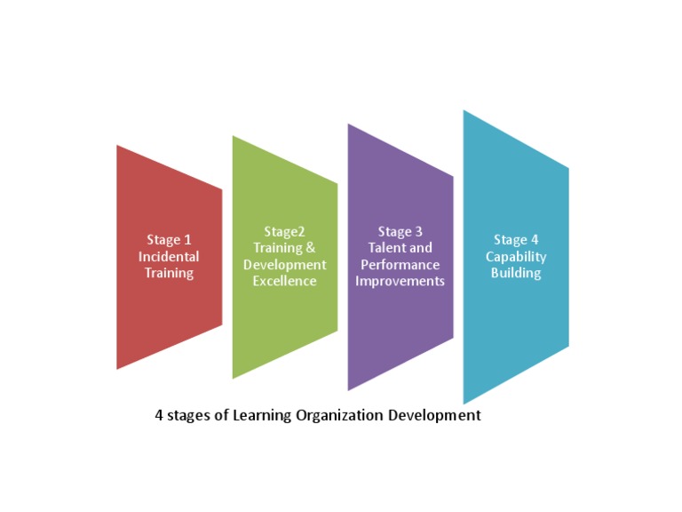 4 Stages of Learn in Organizatons | PDF