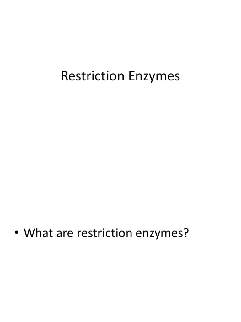 Restriction Enzyme | PDF | Restriction Enzyme | Dna