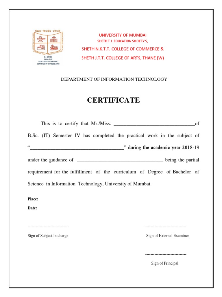 2018-19 BSC IT Practical Certificate | PDF