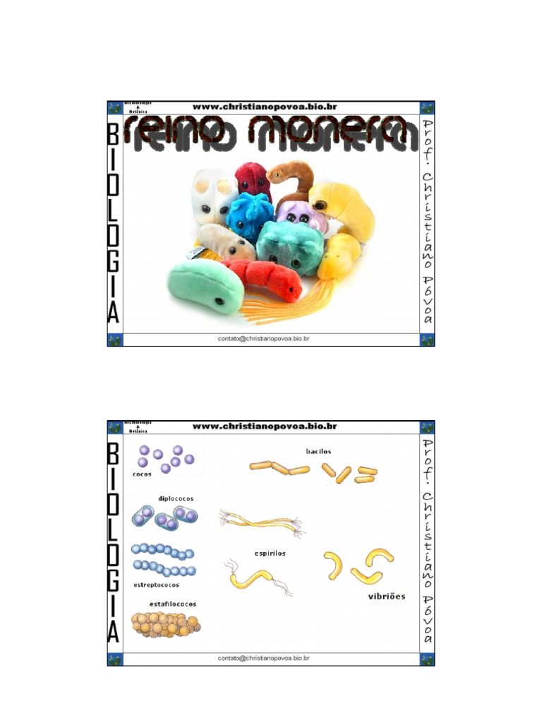 Bacterioses: Tipos e Tratamentos | PDF | Lepra | Mycobacterium