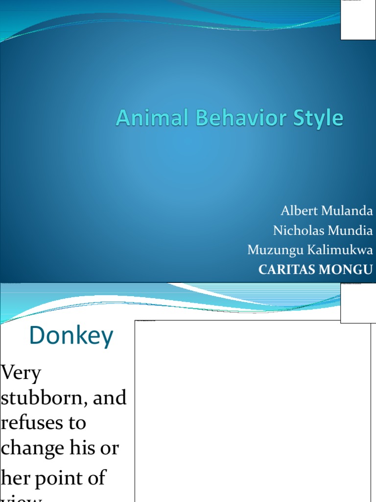 Animal Conflict Styles | PDF