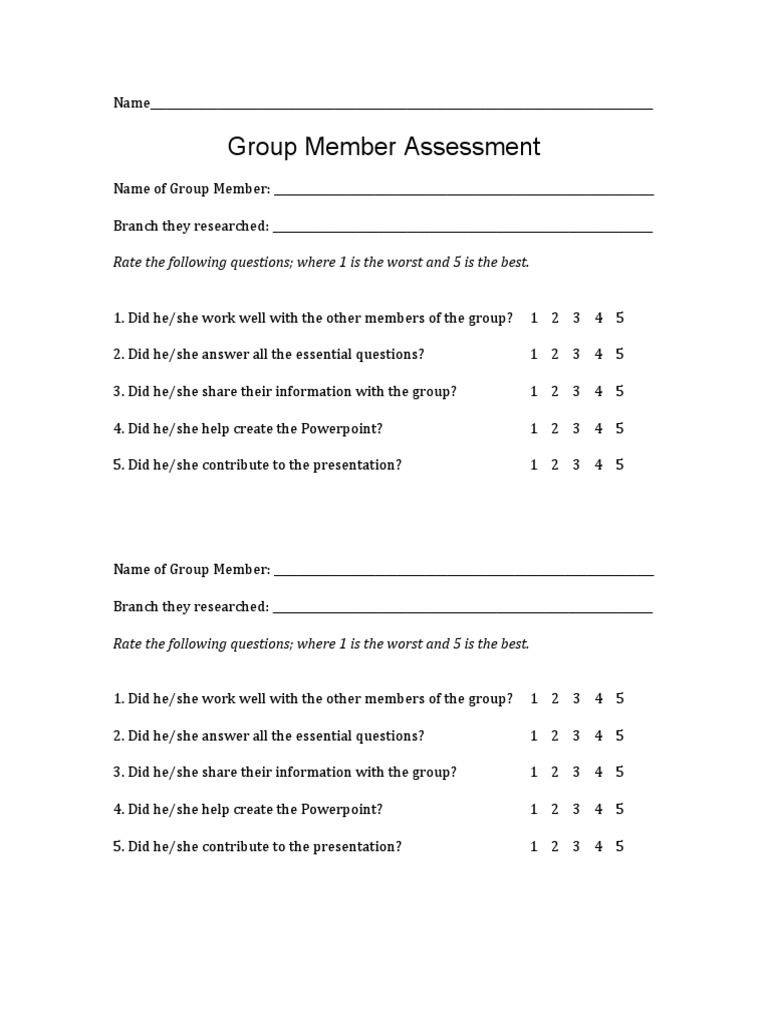 Group Member Assessment | PDF