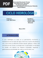 Suelos Vertisol | PDF | Suelo | Degradación ambiental