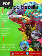 Qué Es Un Jején | PDF | Organismos | Naturaleza