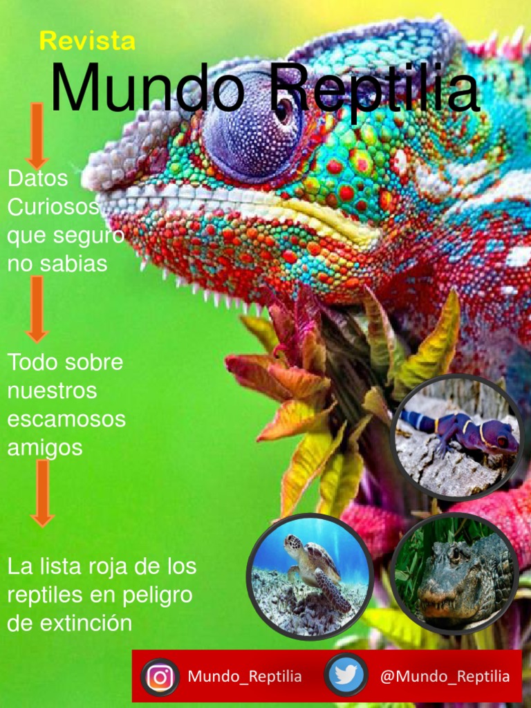 Reptiles: Tipos y Datos Curiosos | PDF | Serpiente | Reptil