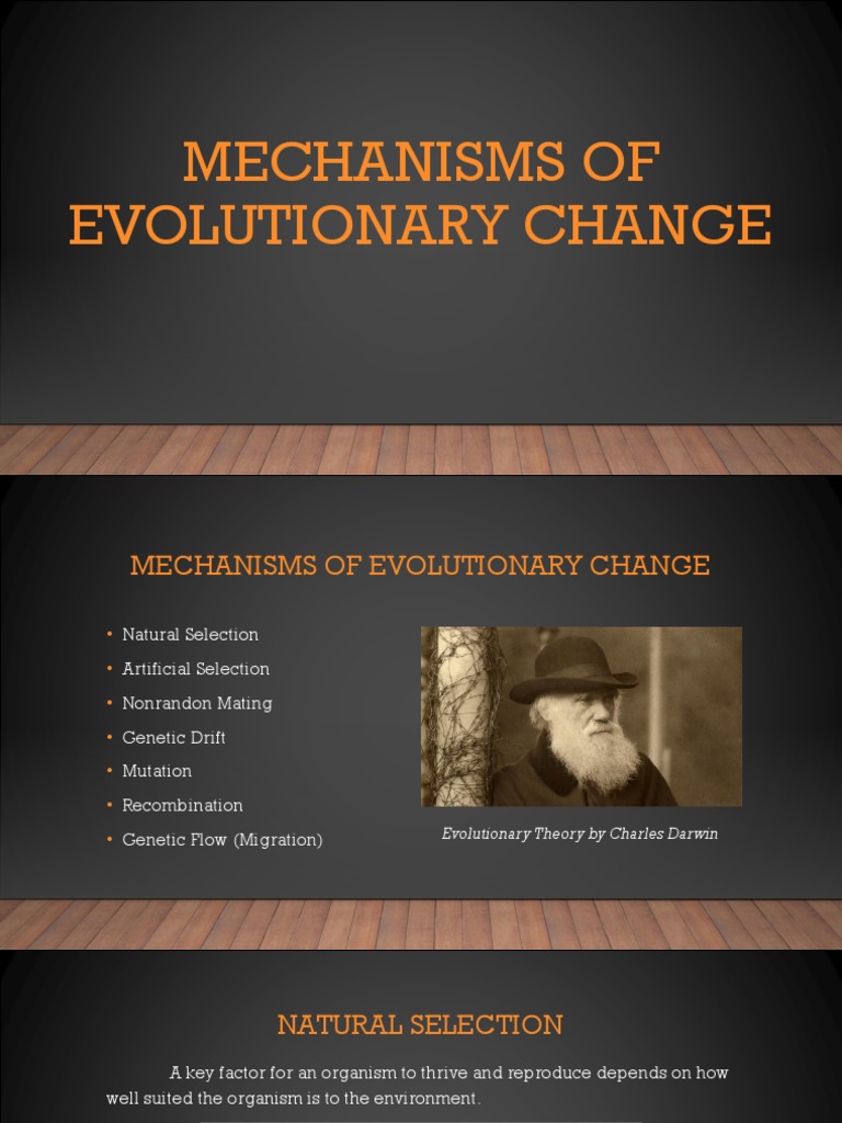 Mechanisms of Evolutionary Change | Download Free PDF | Natural ...